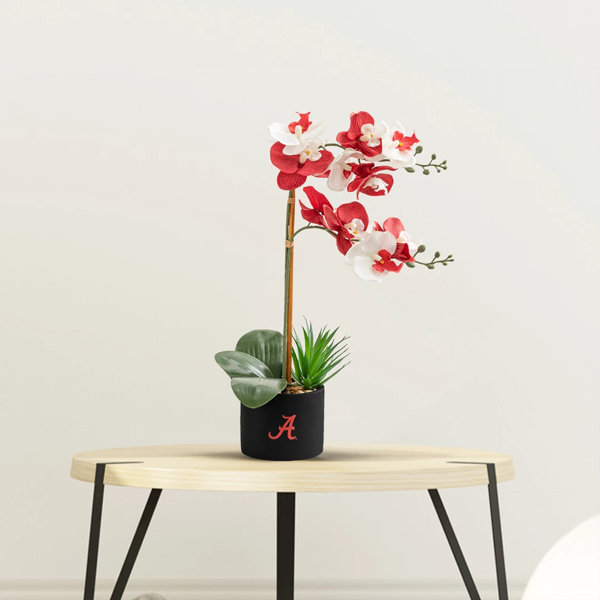 FOREVER LEAF NCAA Home Office Decor | Wayfair